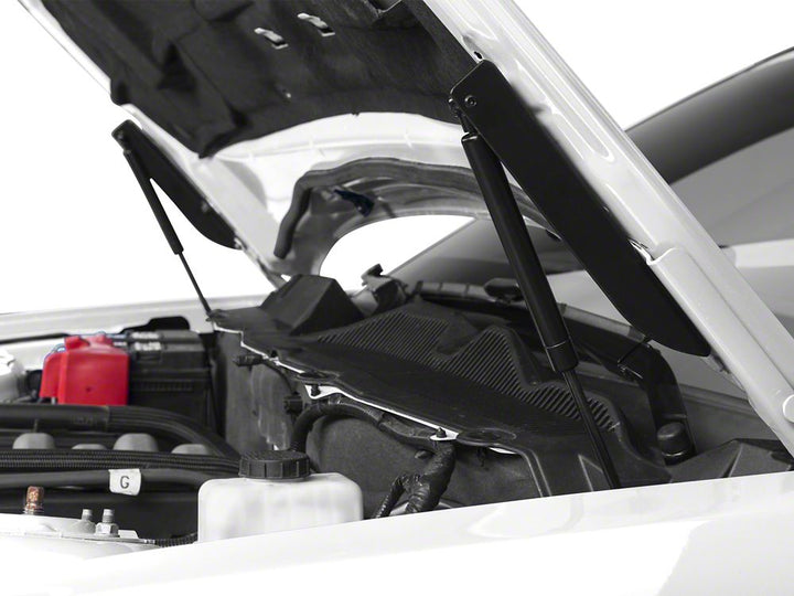 Modern Muscle Design